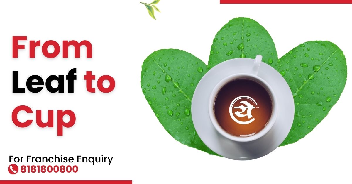 From Leaf to Cup: How Tea Franchises Maintain Quality and Consistency
